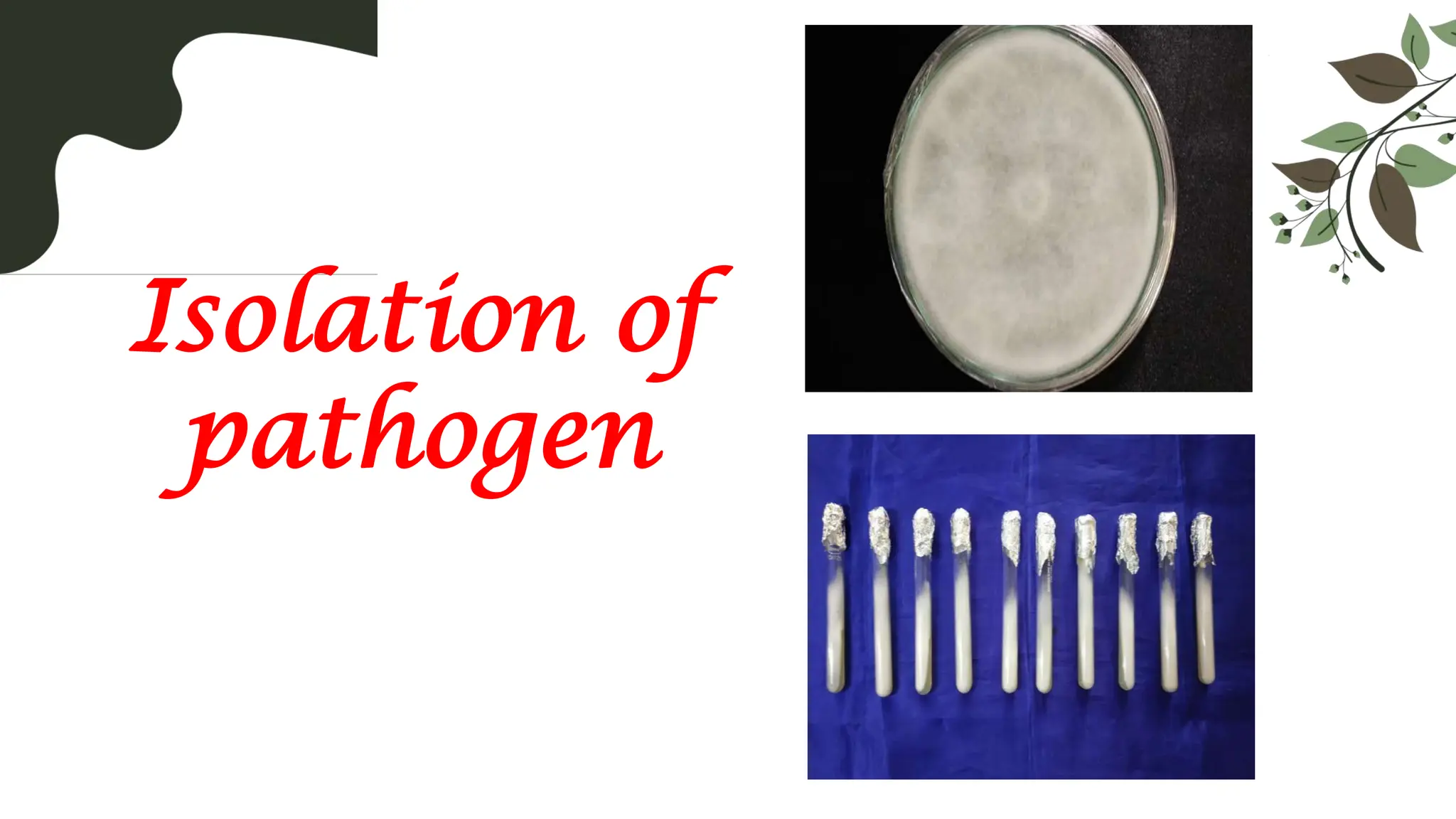 PGPR FINAL slideshare.pptx