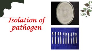 PGPR FINAL slideshare.pptx