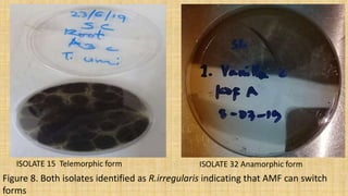 PG PROJECT PRSENTATION 2021 Oct.ppt