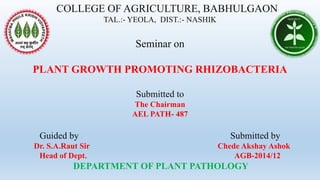 Pgpr ppt Akshay | PPTX