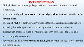 Pgpr ppt Akshay | PPTX