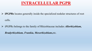 Pgpr ppt Akshay | PPTX