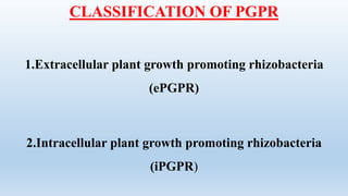 Pgpr ppt Akshay | PPT