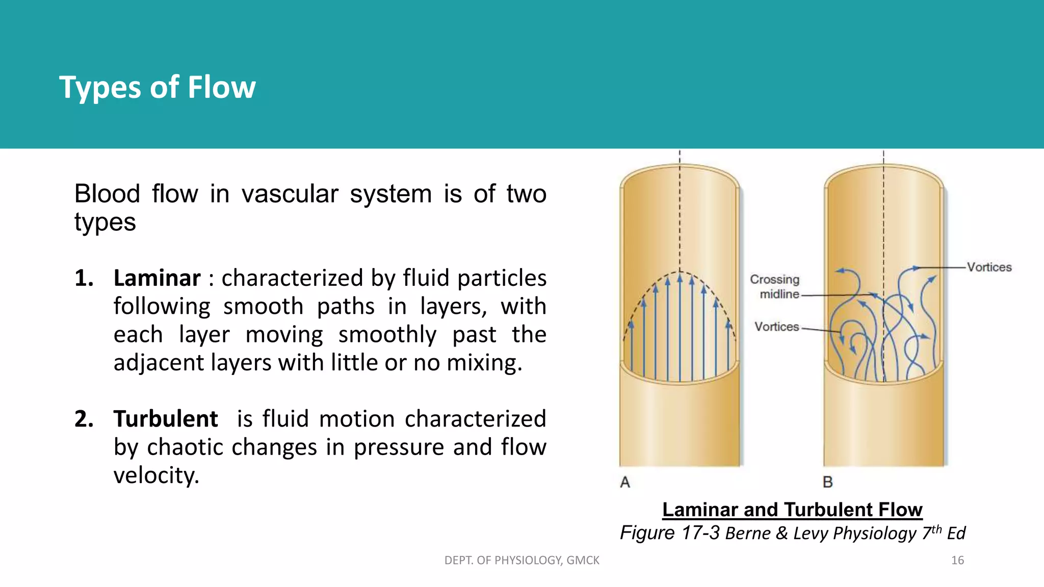 Physical Properties of Blood Flow | PPTX