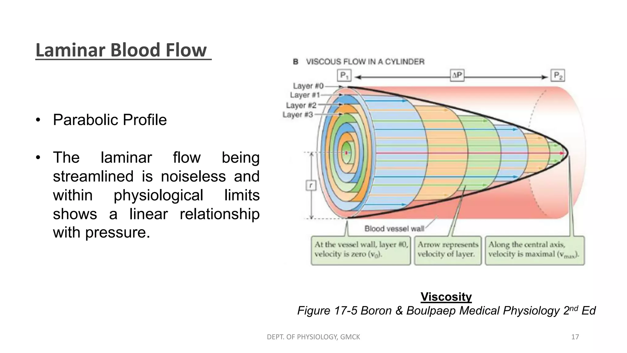 Physical Properties of Blood Flow | PPTX
