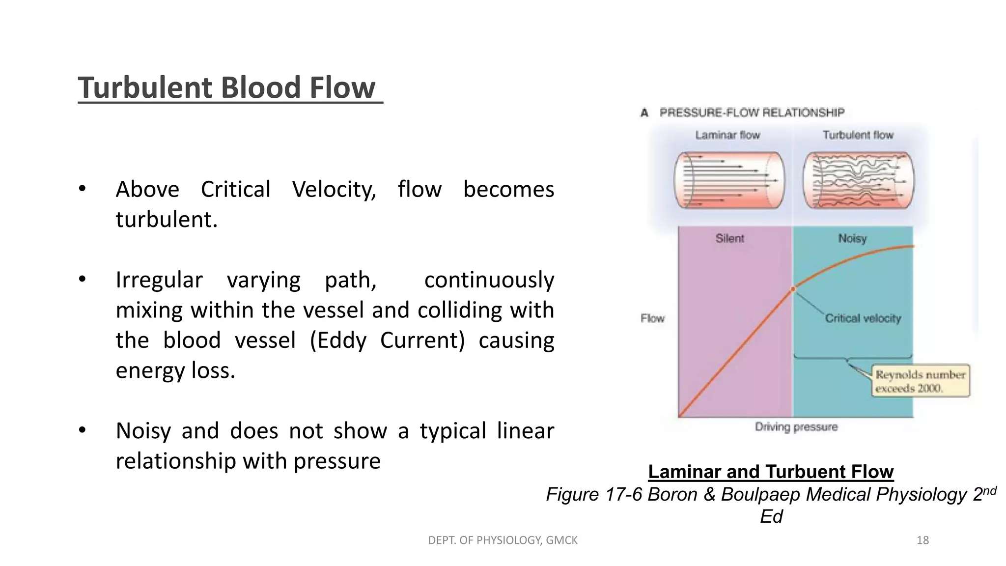 Physical Properties of Blood Flow | PPTX