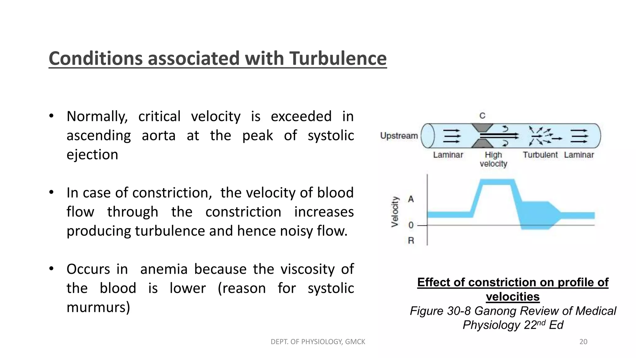 Physical Properties of Blood Flow | PPTX