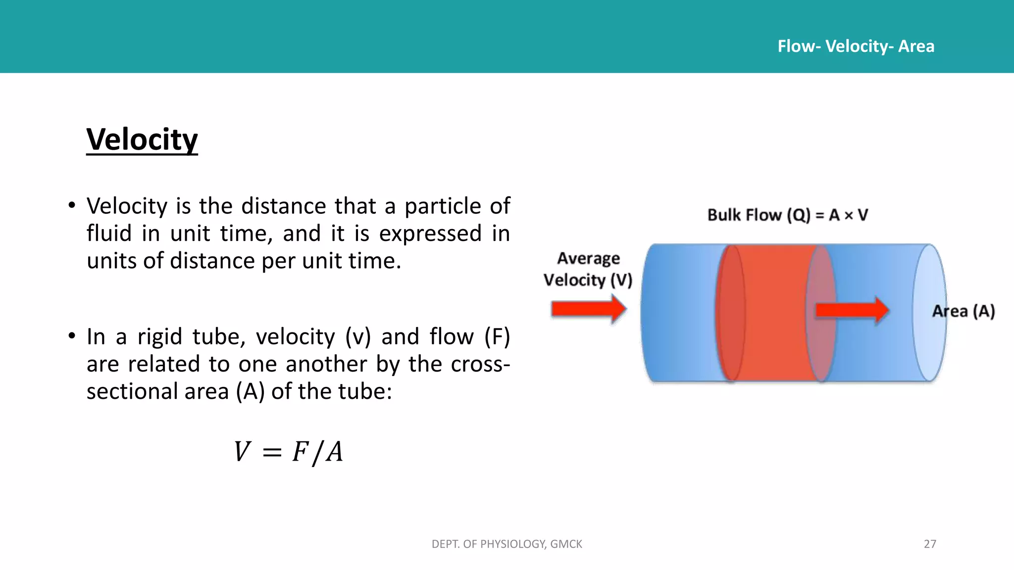 Physical Properties of Blood Flow | PPTX