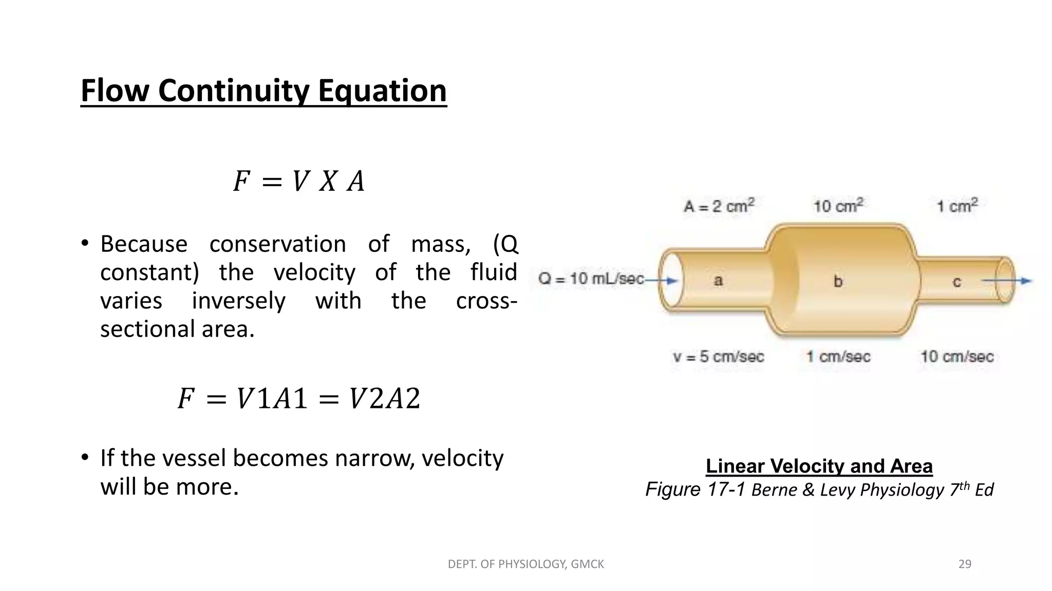 Physical Properties of Blood Flow | PPTX