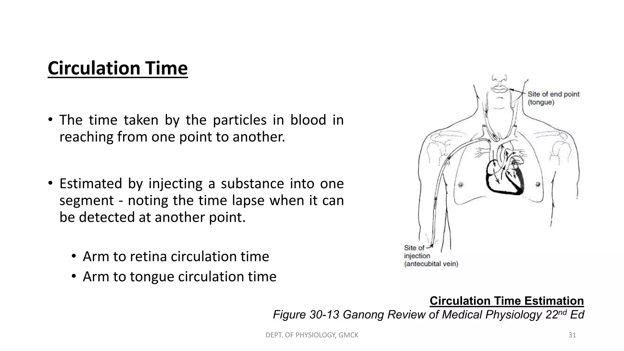 Physical Properties of Blood Flow | PPTX