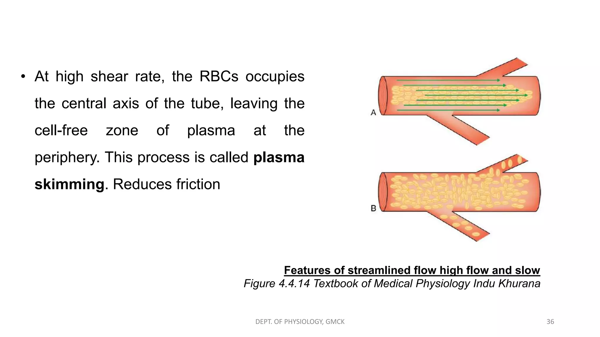 Physical Properties of Blood Flow | PPTX