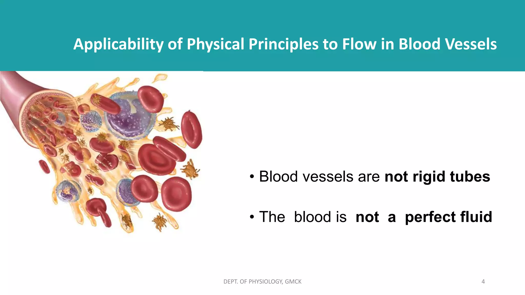 Physical Properties of Blood Flow | PPTX