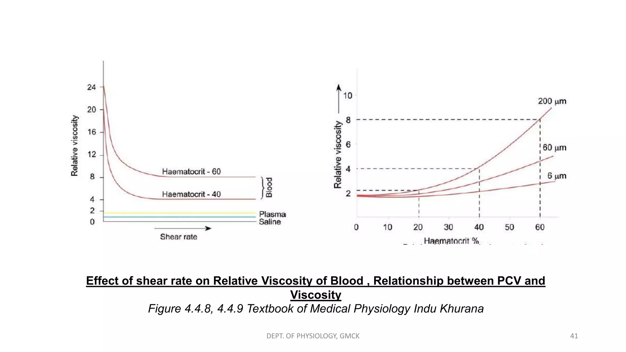 Physical Properties of Blood Flow | PPTX