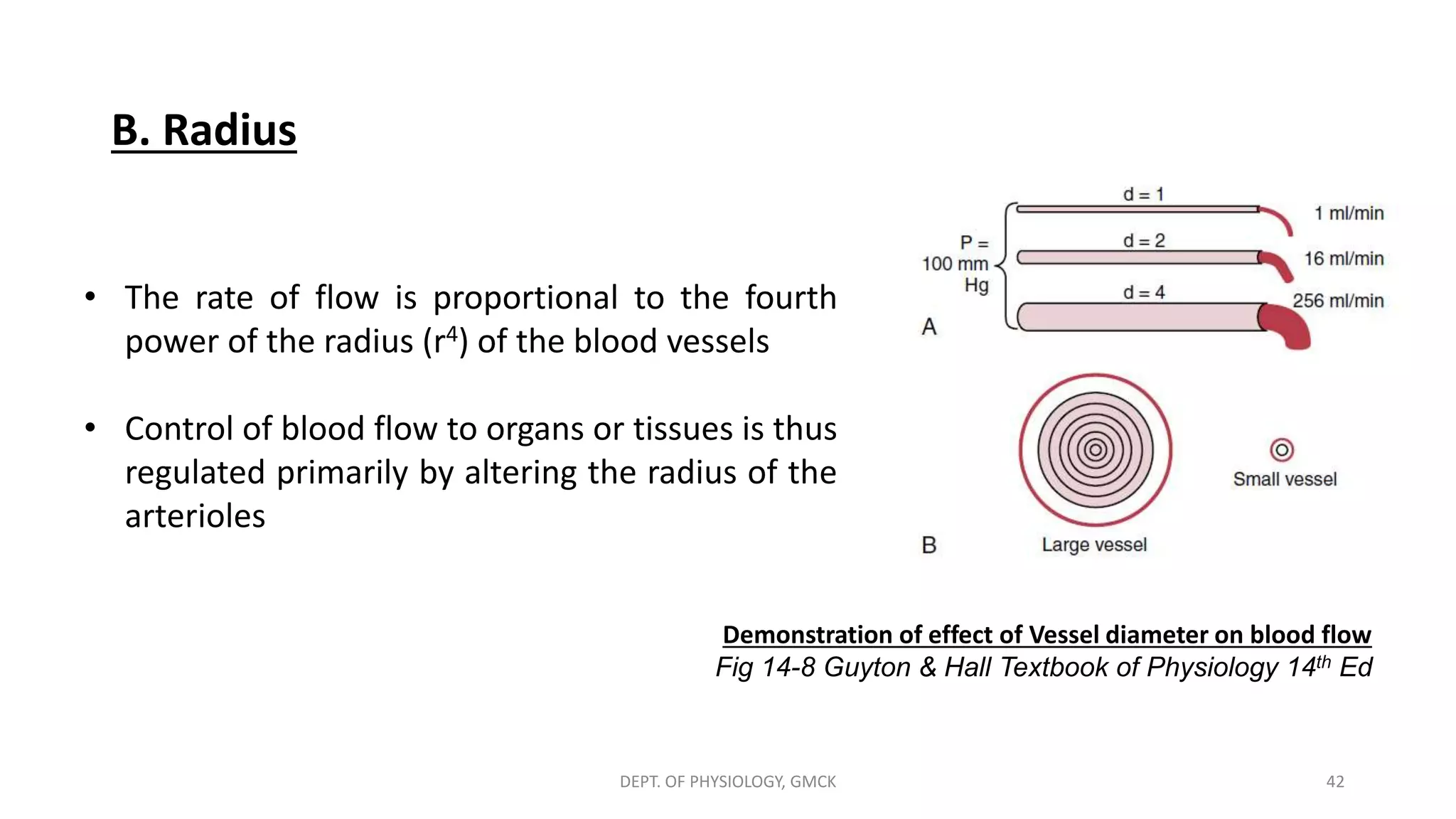 Physical Properties of Blood Flow | PPTX