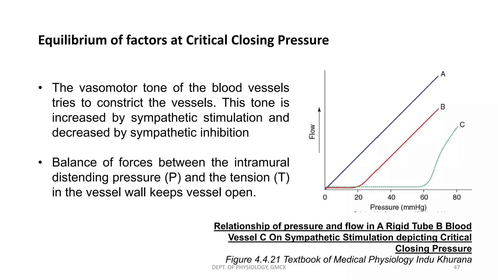 Physical Properties of Blood Flow | PPTX