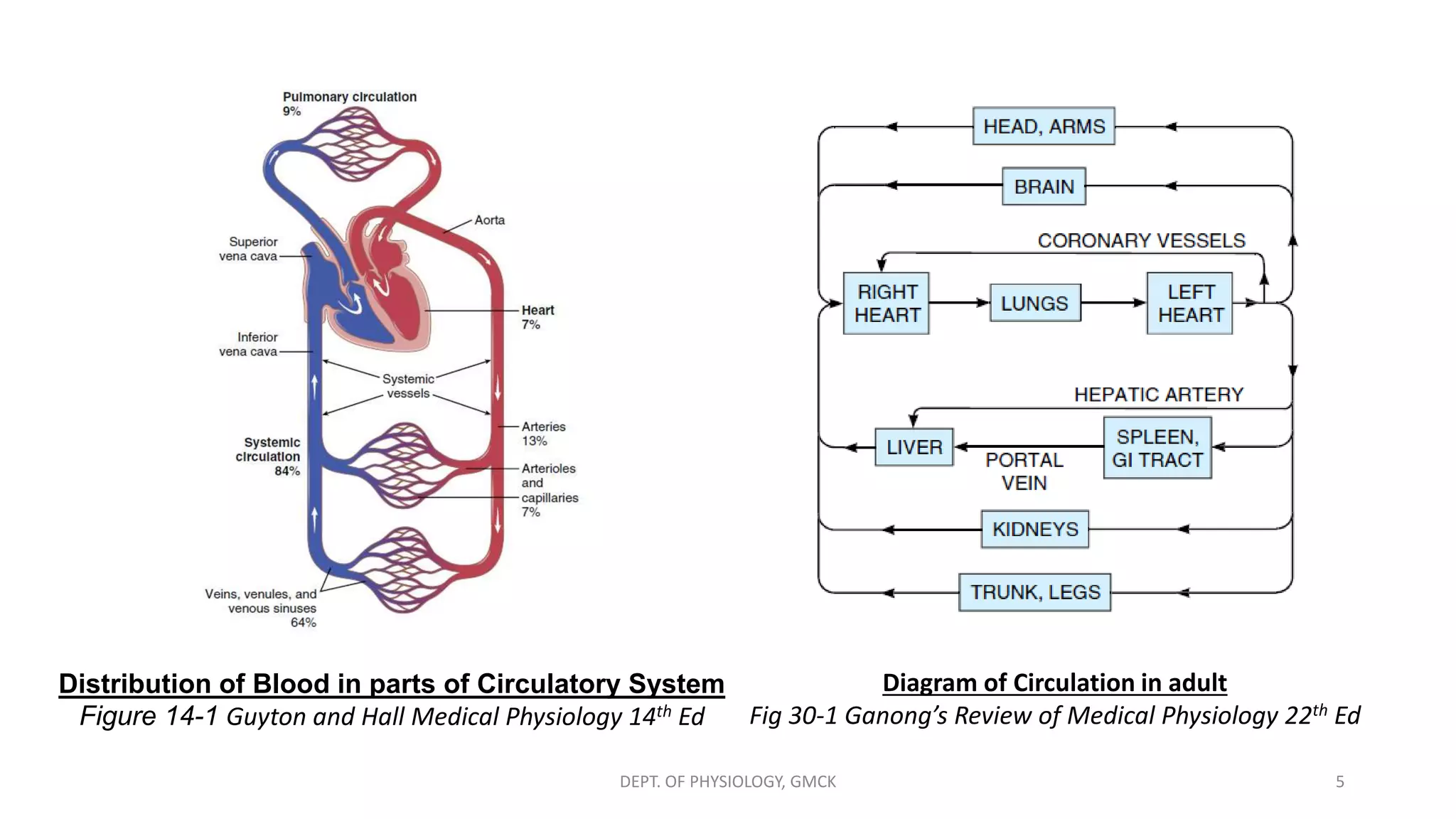 Physical Properties of Blood Flow | PPTX