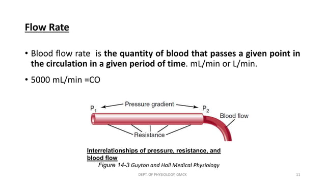 Physical Properties of Blood Flow | PPTX | Heart and Cardiovascular ...