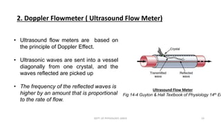 Physical Properties of Blood Flow | PPTX