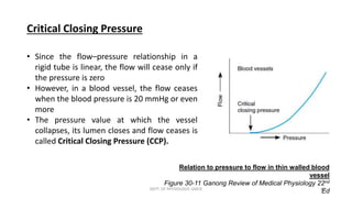 Physical Properties of Blood Flow | PPTX