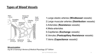 Physical Properties of Blood Flow | PPTX