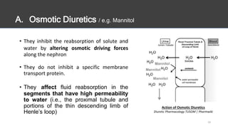 Physiology of Diuretic Action | PPTX
