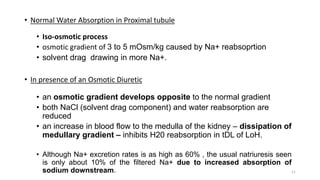 Physiology of Diuretic Action | PPTX
