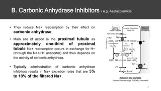 Physiology of Diuretic Action | PPTX