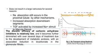 Physiology of Diuretic Action | PPTX