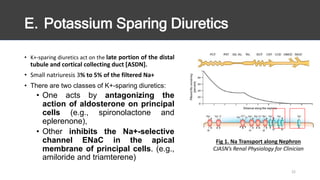 Physiology of Diuretic Action | PPTX