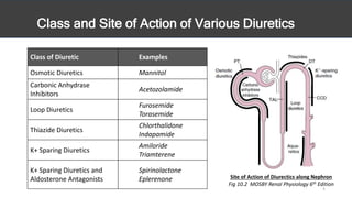 Physiology of Diuretic Action | PPTX