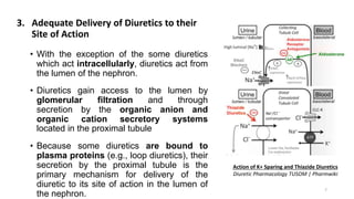 Physiology of Diuretic Action | PPTX