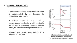 Physiology of Diuretic Action | PPTX