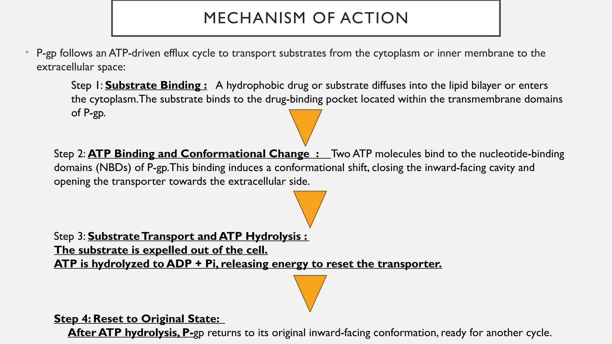 P- glycoproteins efflux transporter systems | PPTX