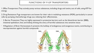 P- glycoproteins efflux transporter systems | PPTX