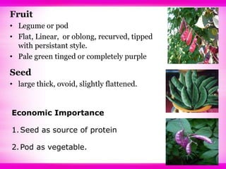 COWPEA,LENTIL,HORSE GRAM,LABLAB, RICE BEAN,WINGED BEAN | PPT