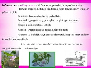 COWPEA,LENTIL,HORSE GRAM,LABLAB, RICE BEAN,WINGED BEAN | PPT