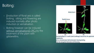 plant growth regulators : GA & cytokinin | PPTX