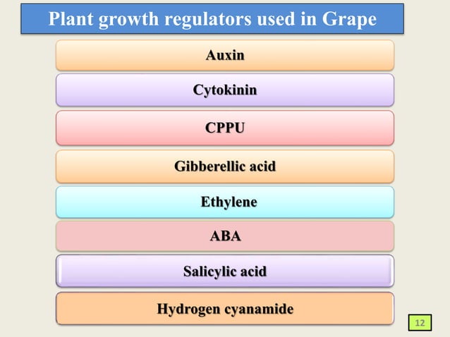 Plant growth regulators in grapes | PPTX | Agriculture | Industries