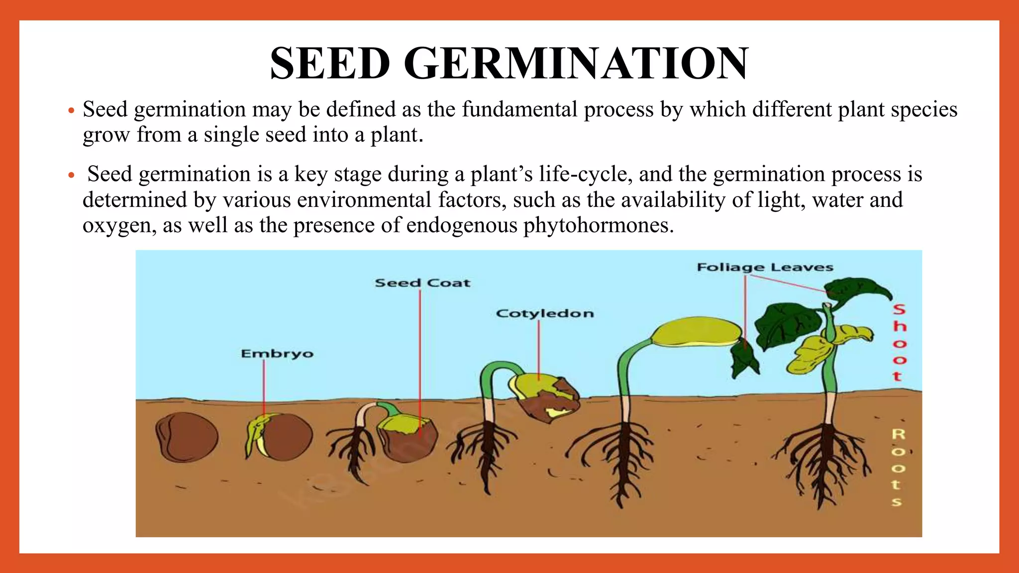 PGR IN SEED GERMINATION.pptx