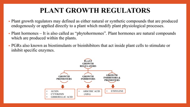 PGR IN SEED GERMINATION.pptx | Endocrine and Metabolic Diseases ...
