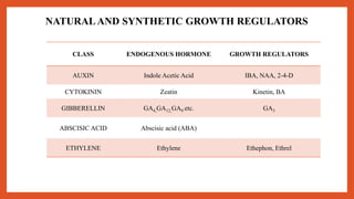 PGR IN SEED GERMINATION.pptx
