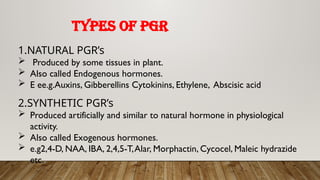 PGr in tuber crops(potatoes, cassava, yam) .pptx