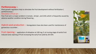 Plant Growth Regulator Ppt | PDF