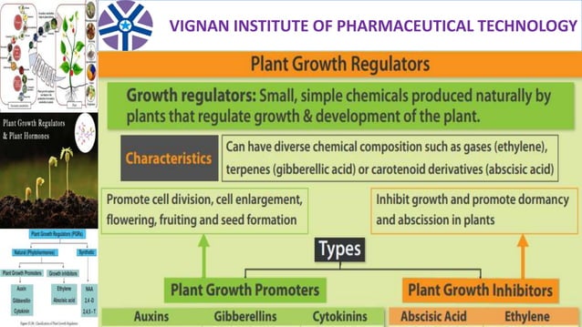 Plant Growth Regulators | PPTX