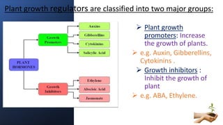 plant growth regulators pdf. For Botany students, plant physiology ...
