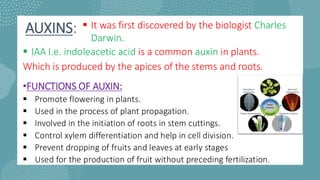 plant growth regulators pdf. For Botany students, plant physiology ...