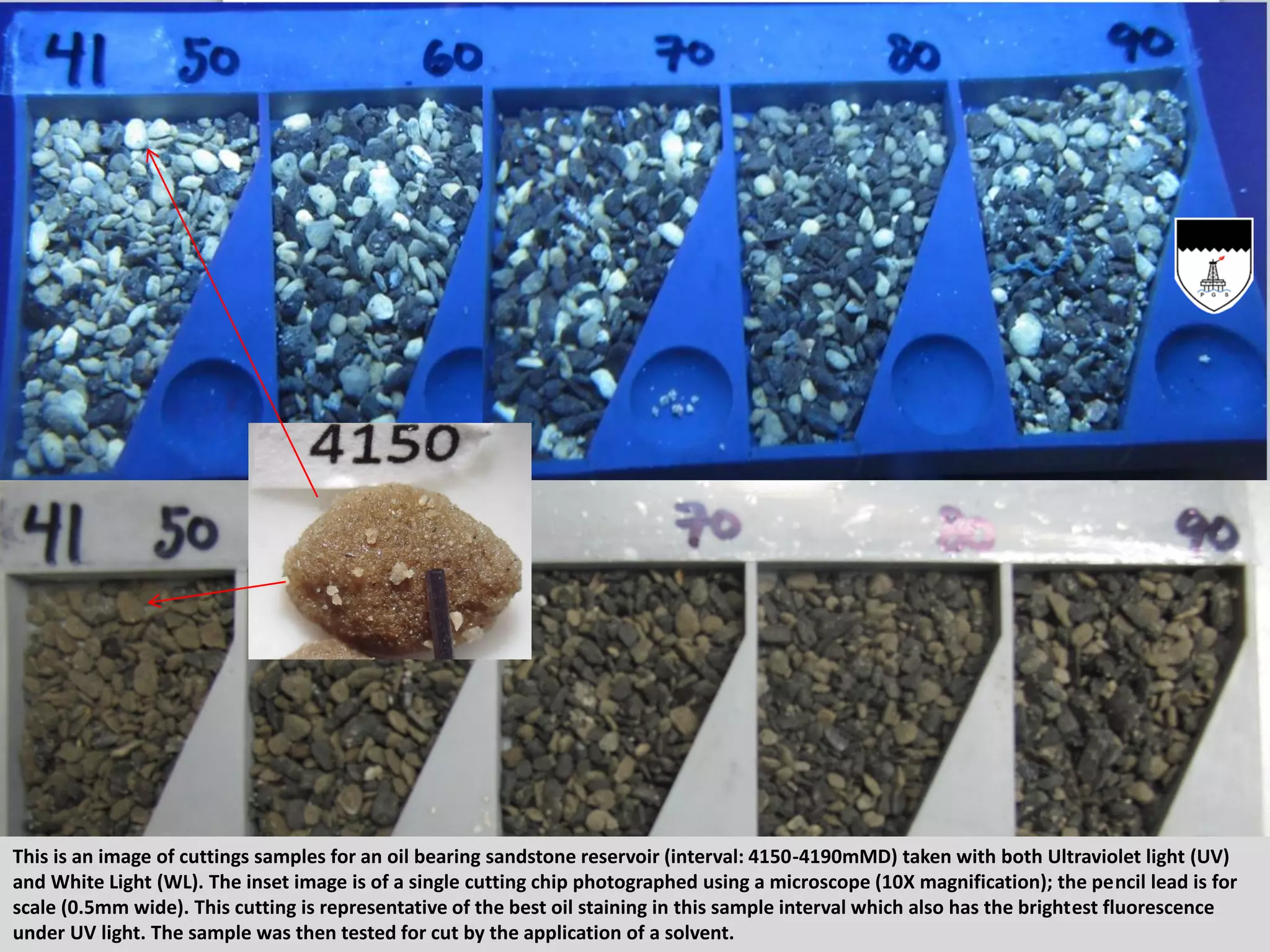 GRAIN_SIZE_MEASUREMENT | PPT