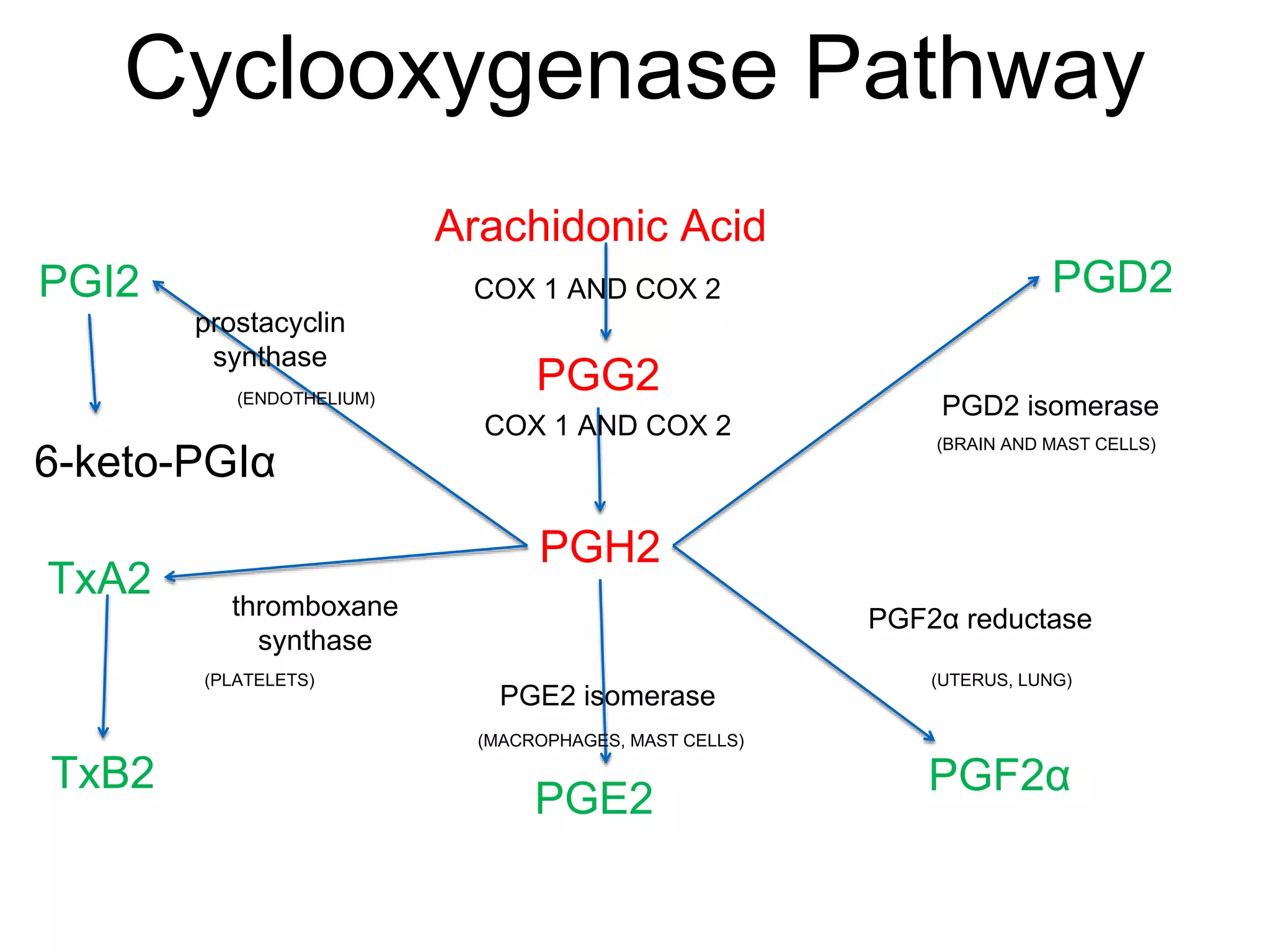 Prostaglandins & NSAIDS | PPTX