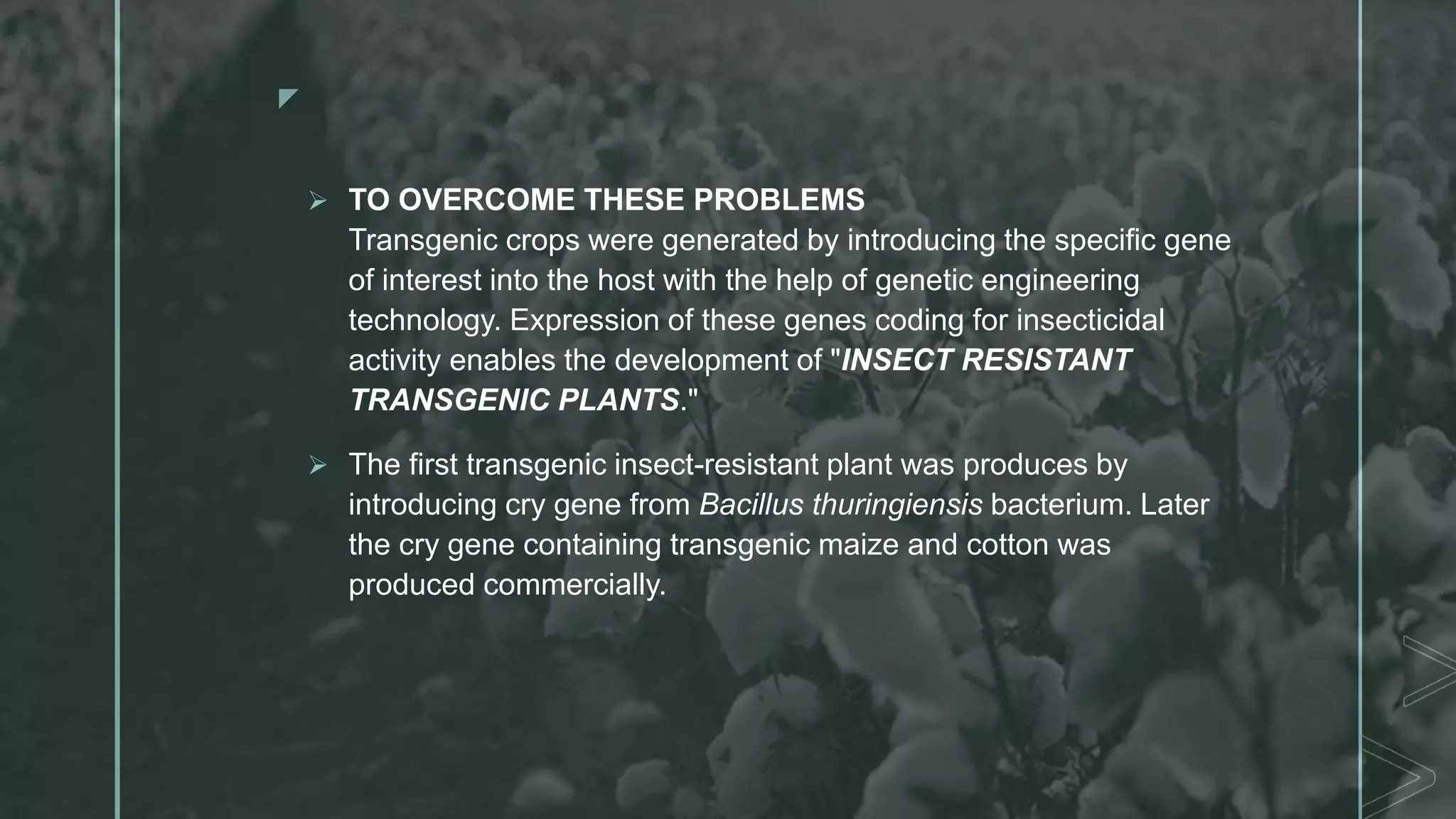 Insect Resistant Transgenic Plants | PPTX