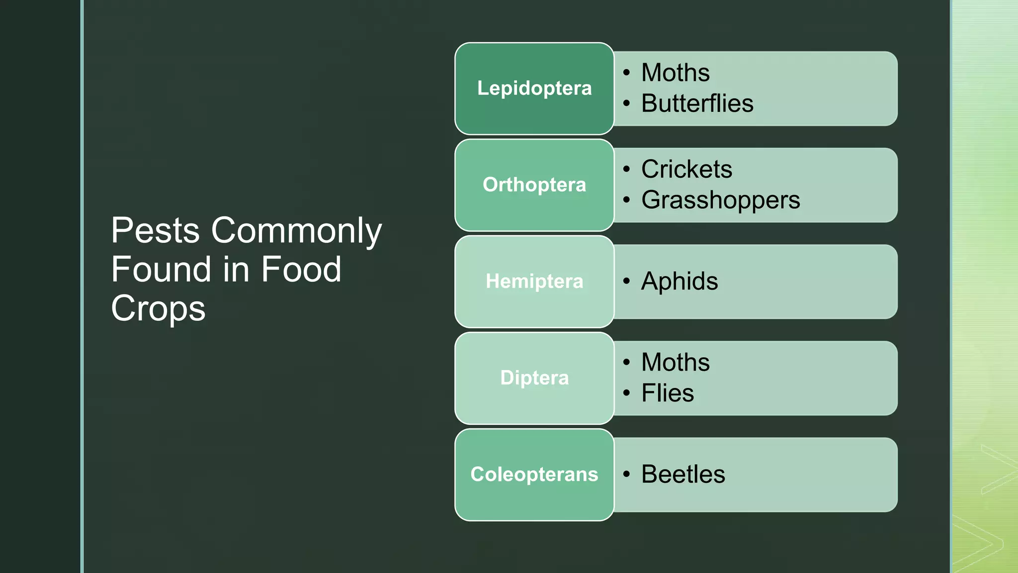 Insect Resistant Transgenic Plants | PPTX